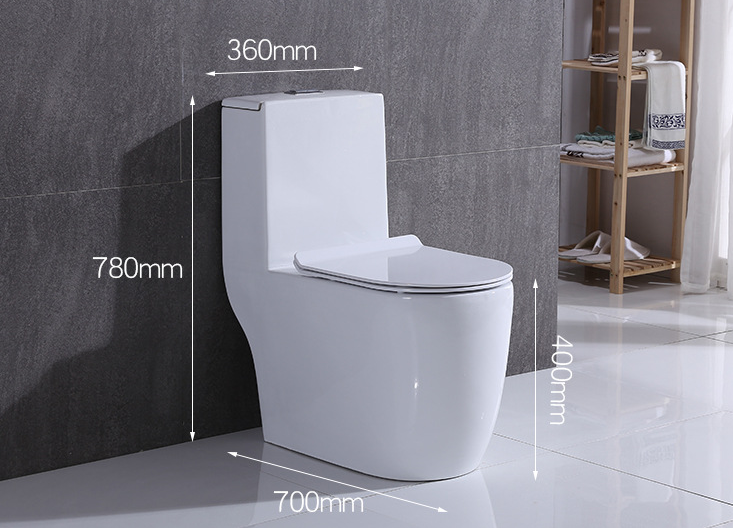 Modern One-Piece Floor Mounted Toilet – Dual Flush Porcelain Sanitary ...