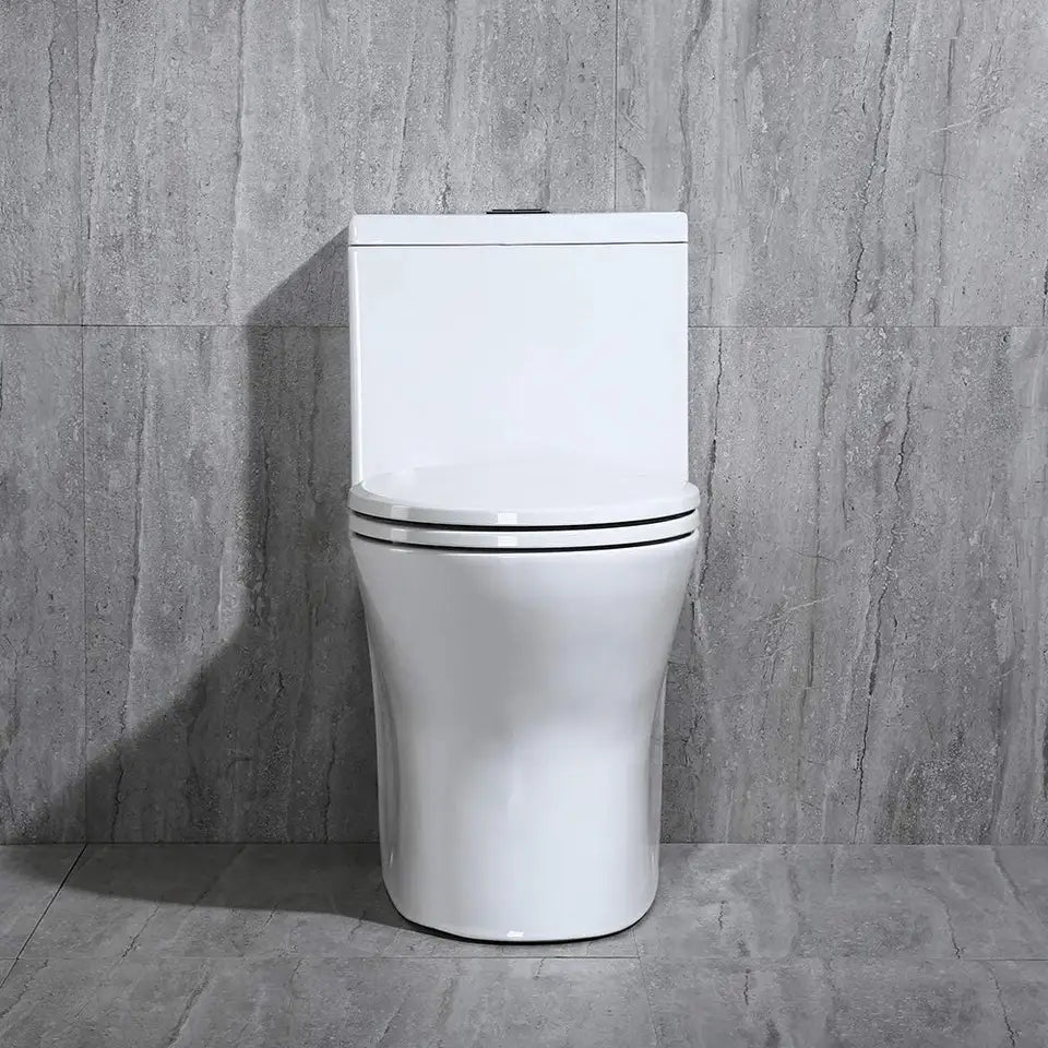 Dual Flush Elongated One-Piece Ceramic Toilet with Soft Closing Seat S ...